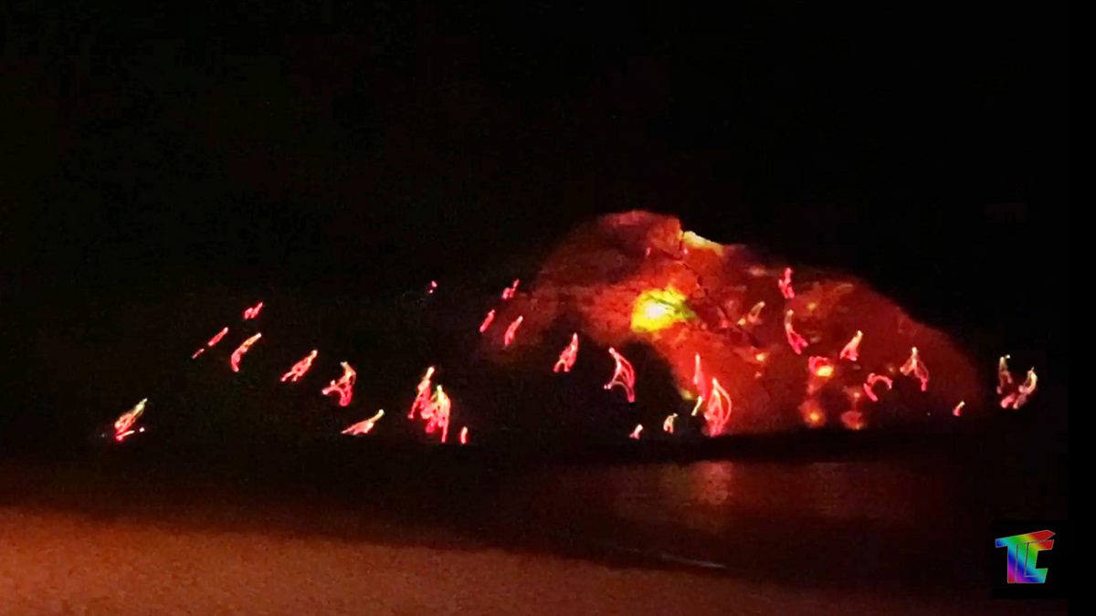 PROJECTION EFFECTS - TLC Creative Technology